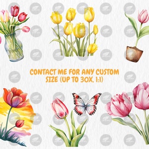 Watercolor Tulips Clipart | Spring Flower, Floral Bouquet, Red, Yellow ...