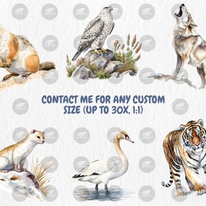 Watercolor Tundra Animals Clipart: 40 PNG Illustrations (instant ...