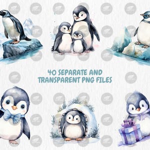 Watercolor Penguins Clipart | Winter Animals, 40 PNG Images ...