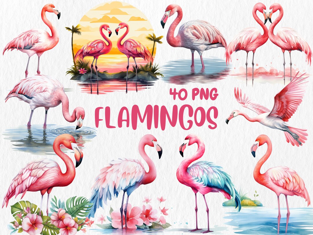 Watercolor Flamingos Clipart: Tropical Bird Illustrations (instant ...