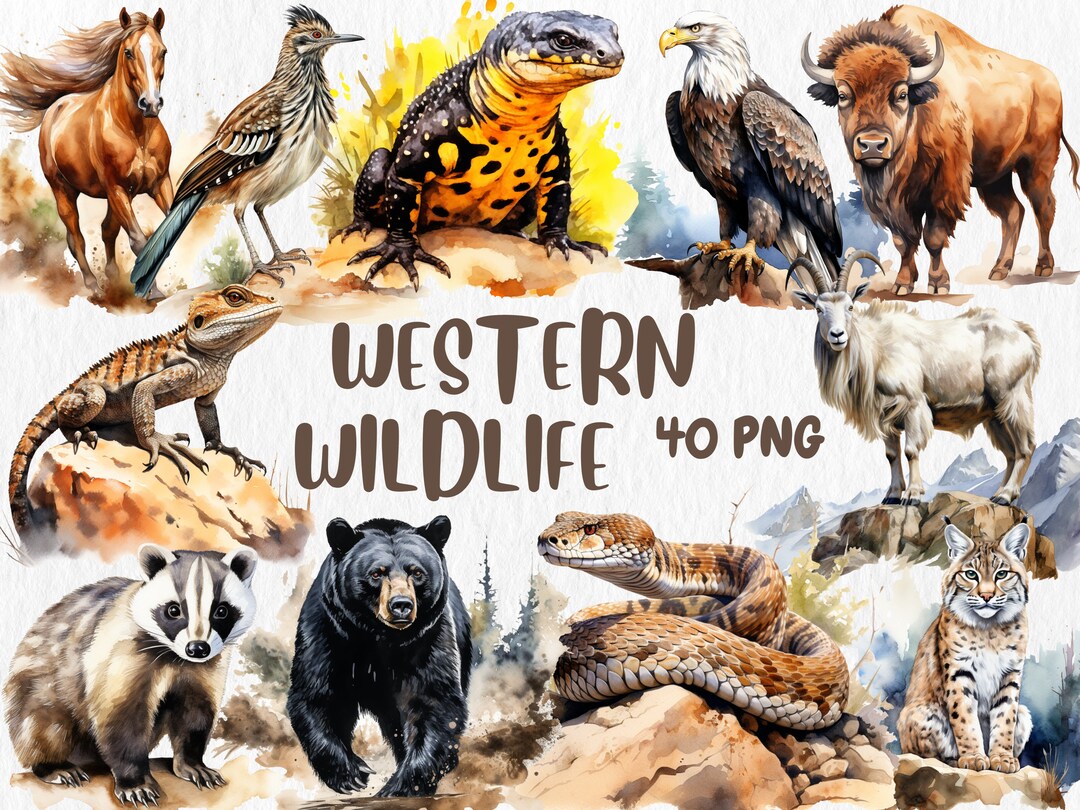Watercolor Western Wildlife Clipart: American Animals Illustrations ...
