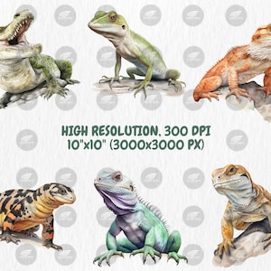 Watercolor Reptiles Clipart: Lizard, Snake, Turtle Illustrations ...