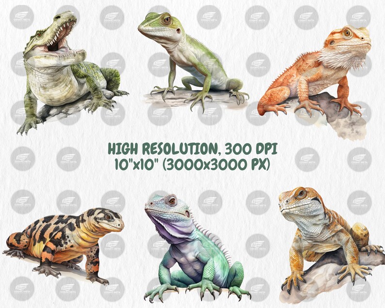 Watercolor Reptiles Clipart: Lizard, Snake, Turtle Illustrations ...