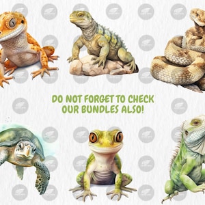 Watercolor Reptiles Clipart: Lizard, Snake, Turtle Illustrations ...