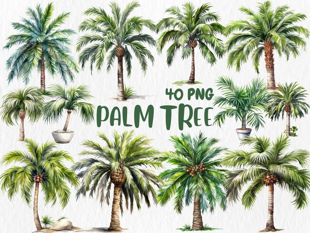 Watercolor Palm Tree Clipart: Tropical Illustrations (instant Download ...