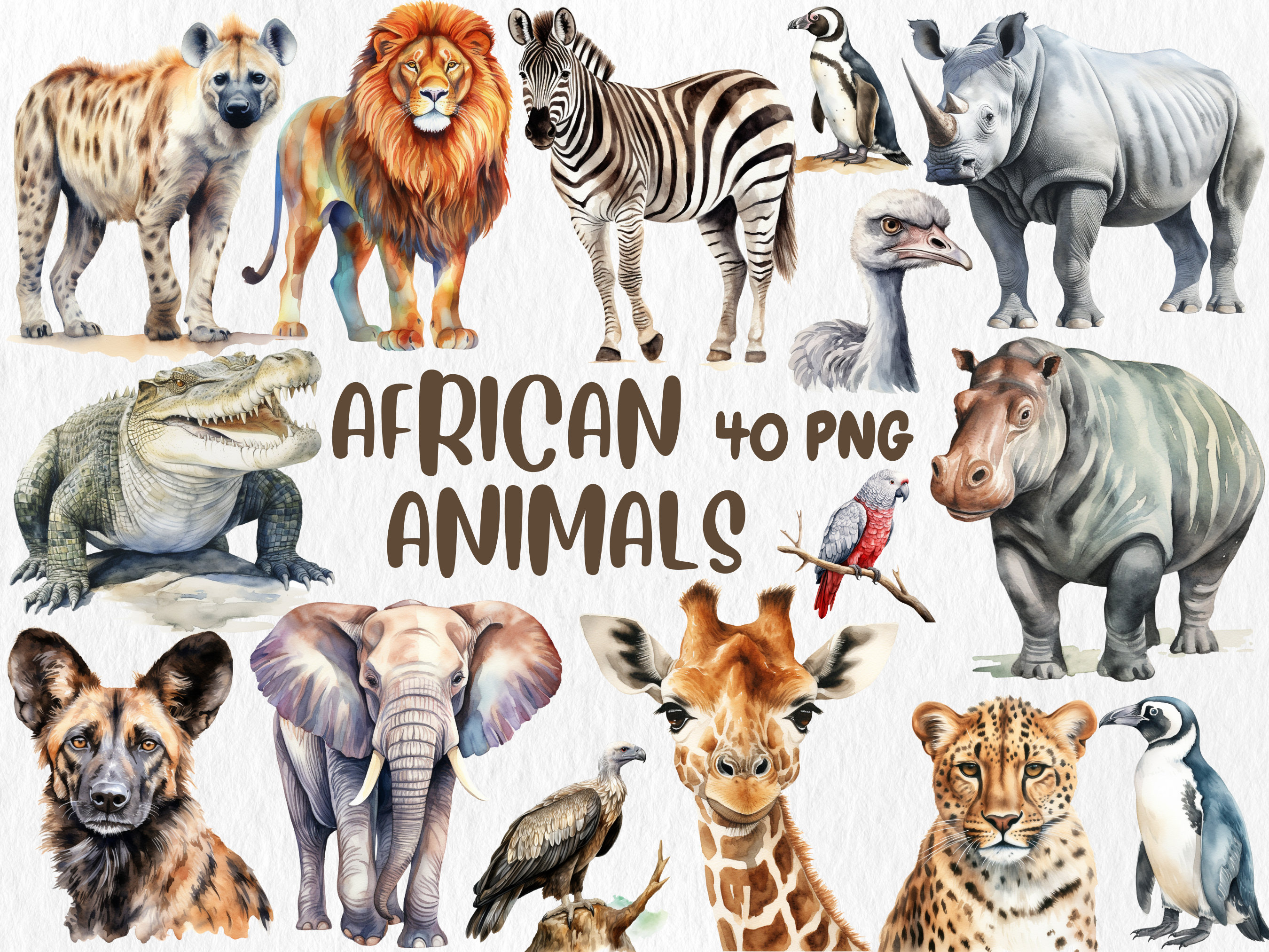 Watercolor African Animals Clipart: Safari Animal Illustrations ...