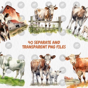 Watercolor Cows Clipart: Farmhouse Illustrations (instant Download) - Etsy