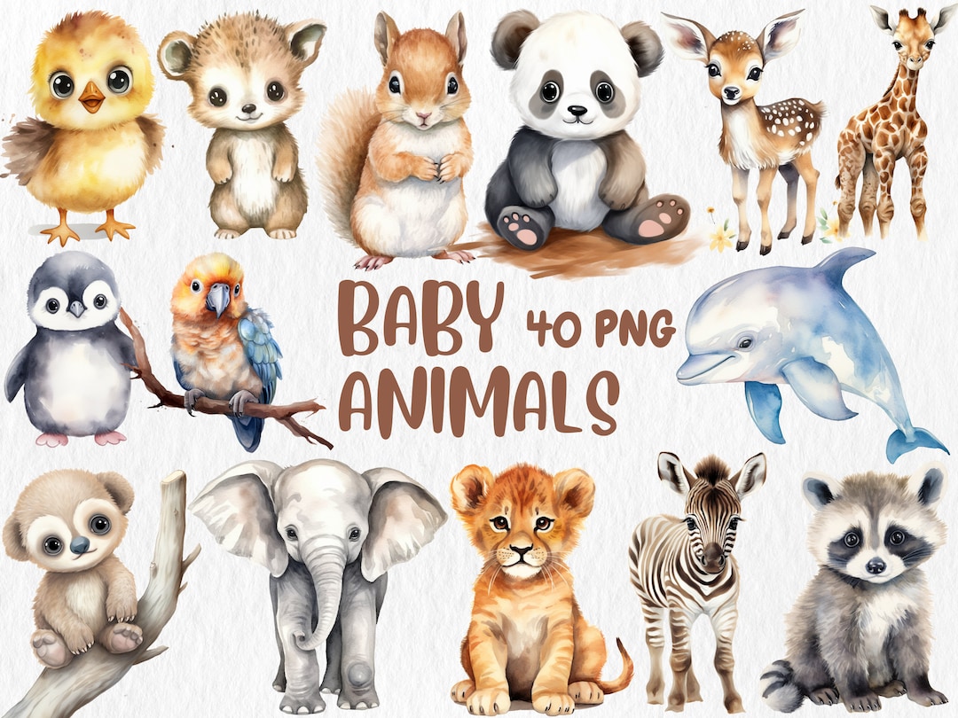 Watercolor Baby Animals Clipart | Cute Adorable Elephant, Panda, Lion ...