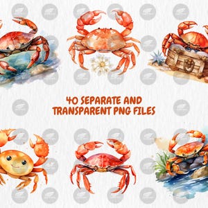 Watercolor Crabs Clipart: 40 Ocean Animal PNG Graphics (commercial Use ...