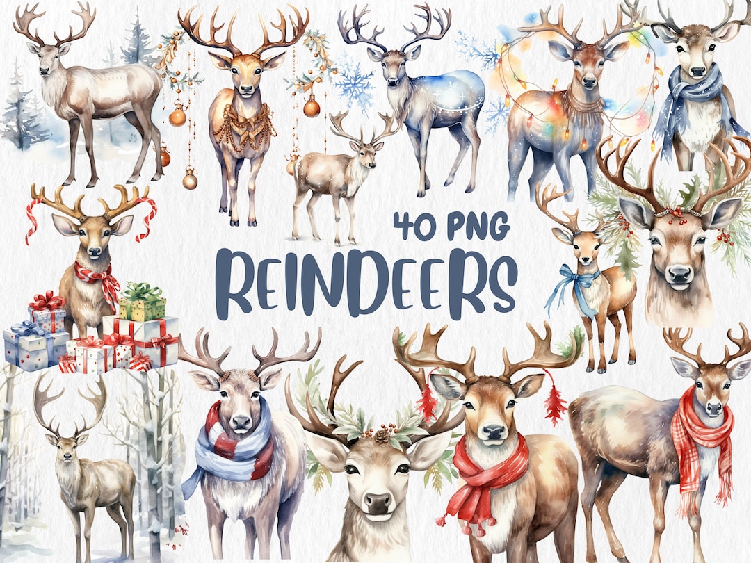 Watercolor Reindeer Clipart | Painted Reindeer, Winter Clipart ...