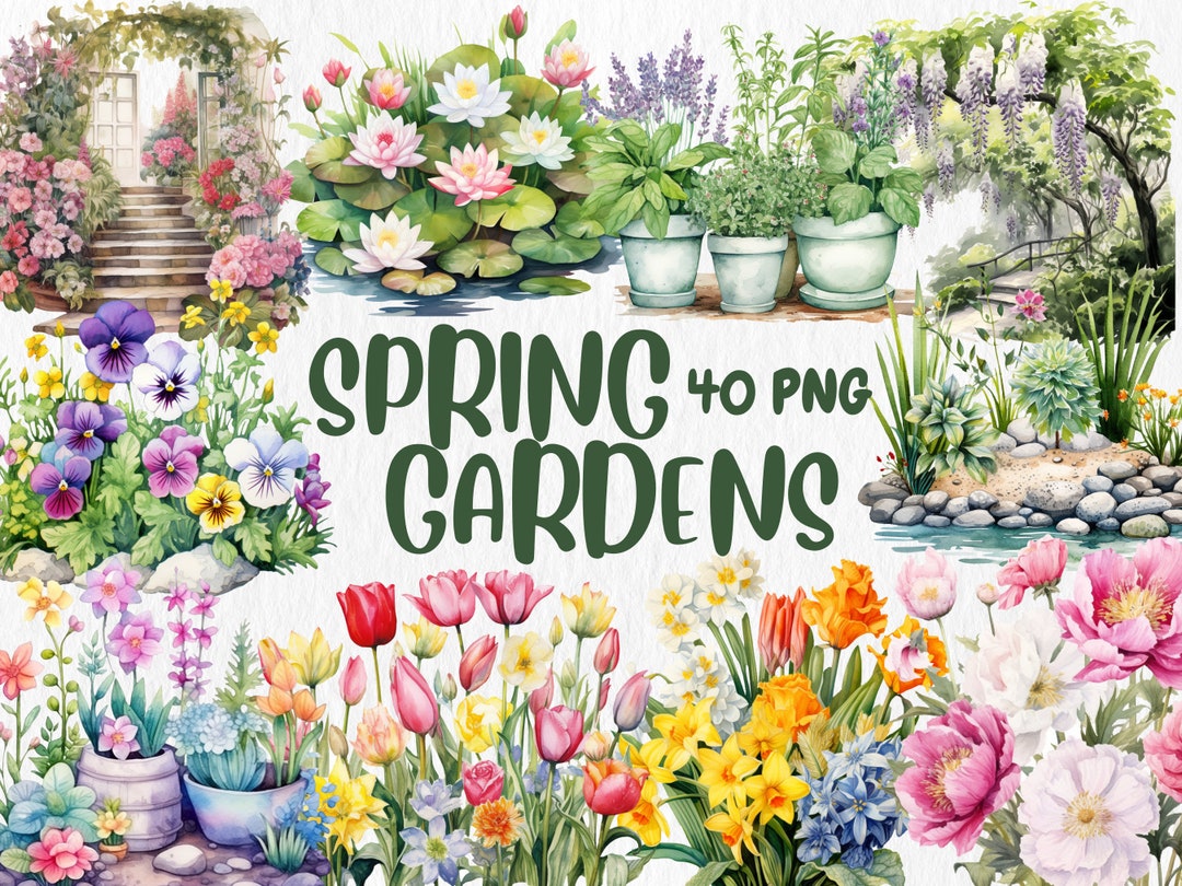 Watercolor Spring Garden Clipart: 40 PNG Illustrations (digital ...