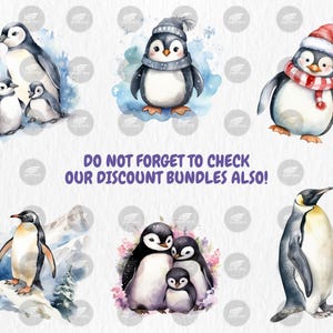 Watercolor Penguins Clipart | Winter Animals, 40 PNG Images ...
