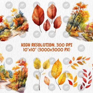 Watercolor Fall Foliage Clipart: 40 PNG Autumn Graphics (commercial Use ...