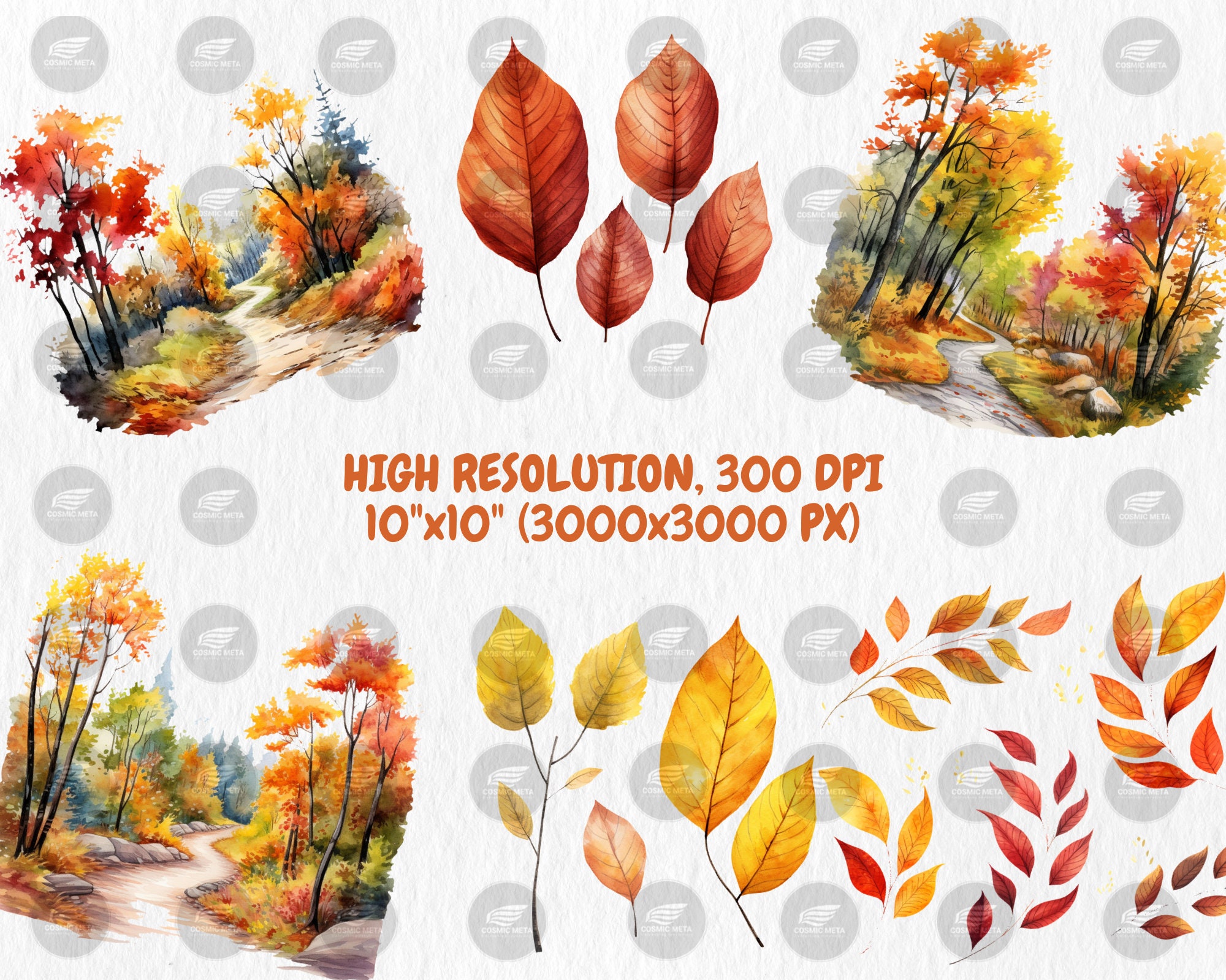 Watercolor Fall Foliage Clipart: 40 PNG Autumn Graphics (commercial Use ...