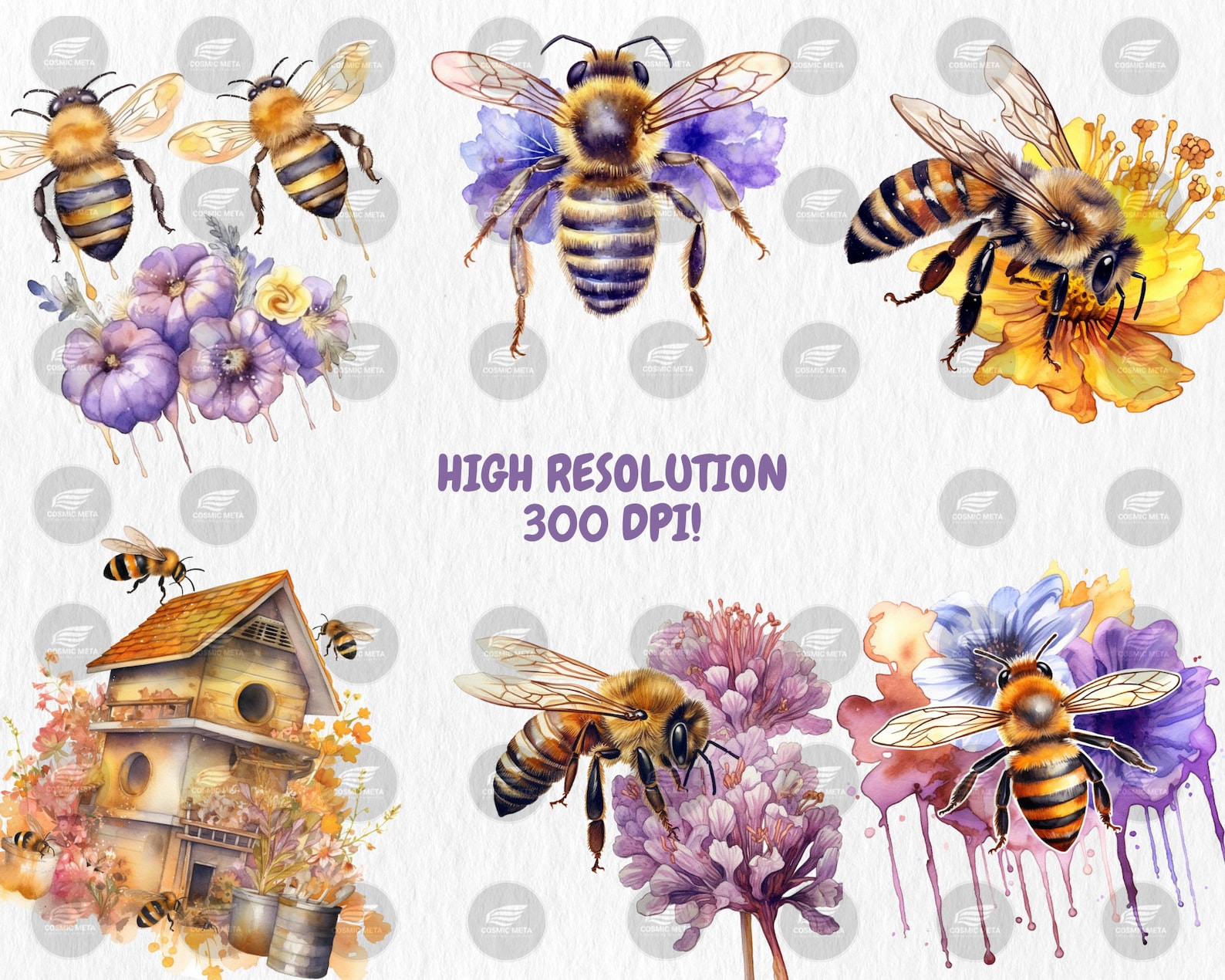 Watercolor Honey Bee Clipart Spring Garden Bee Clipart Honey Drips ...