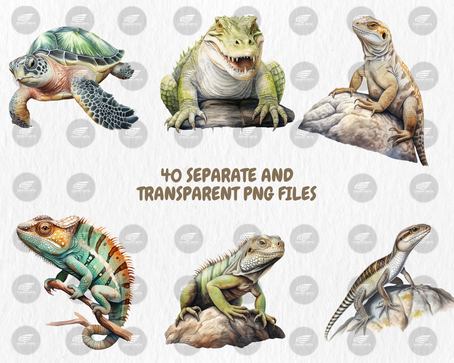 Watercolor Reptiles Clipart: Lizard, Snake, Turtle Illustrations ...