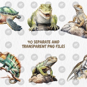 Watercolor Reptiles Clipart: Lizard, Snake, Turtle Illustrations ...
