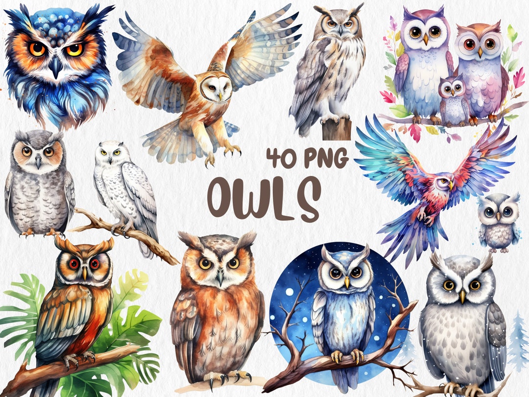 Watercolor Owls Clipart | Cute Adorable Owls, Baby Owl, Owlet, Woodland ...