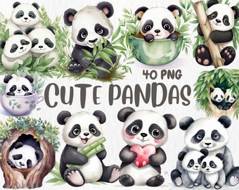 7 Cute Watercolor Pandas Clipart | Cute Panda, Panda Clipart and ...