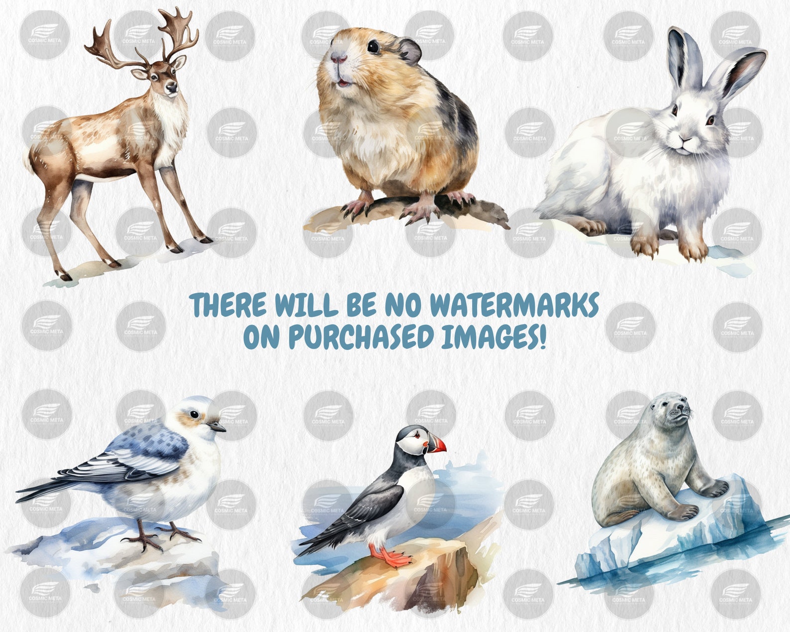 Watercolor Tundra Animals Clipart: 40 PNG Illustrations (instant ...