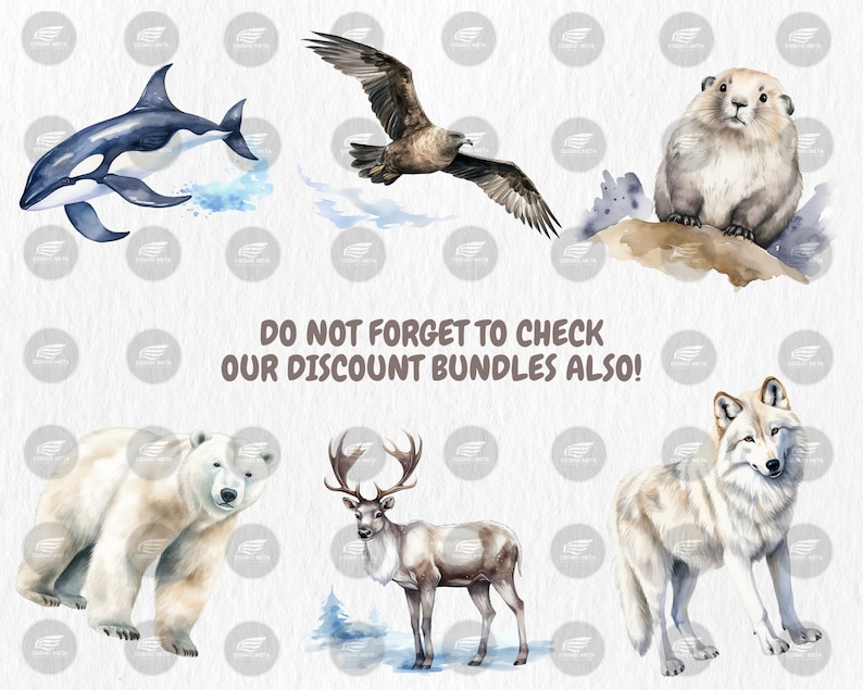 Watercolor Arctic Animals Clipart: 40 PNG Illustrations (commercial Use ...