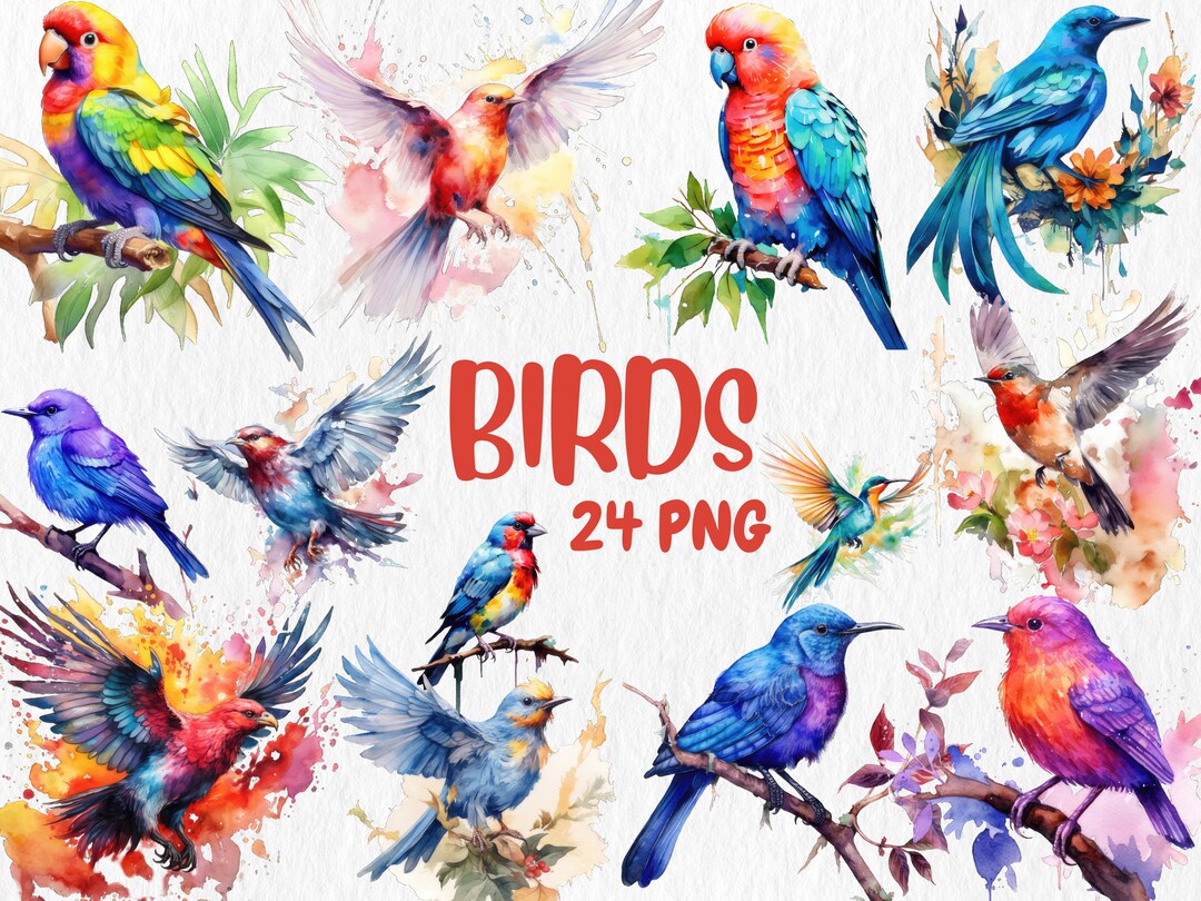 Watercolor Birds Clipart: Tropical Bird Illustrations (instant Download ...