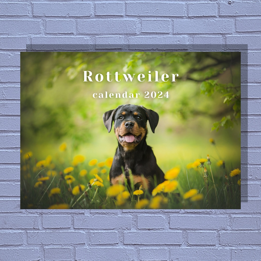 Rottweiler 2024 Calendar - Etsy