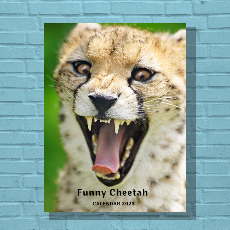 Funny Cheetah 2025 Calendar - Etsy