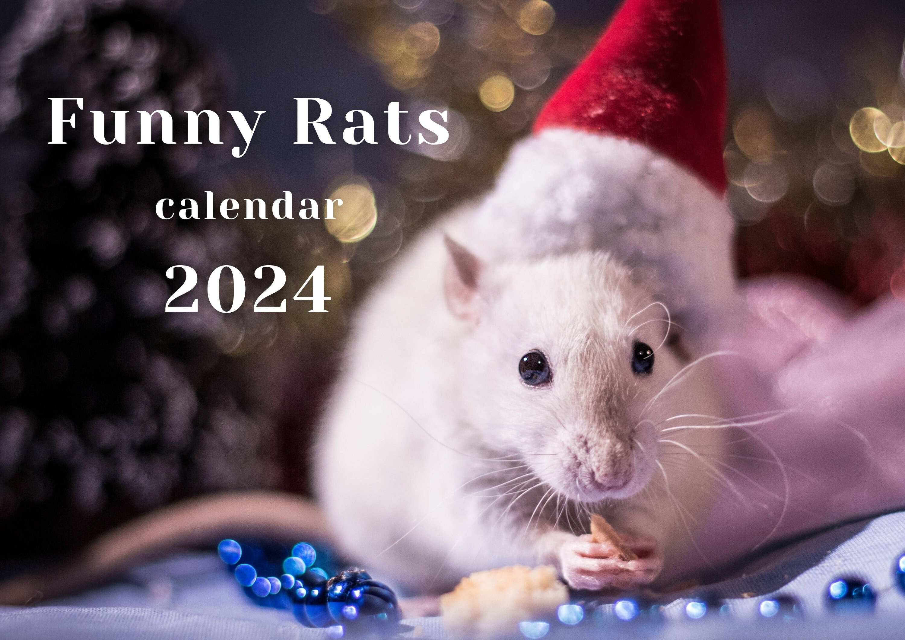 Funny Rats 2024 Calendar - Etsy