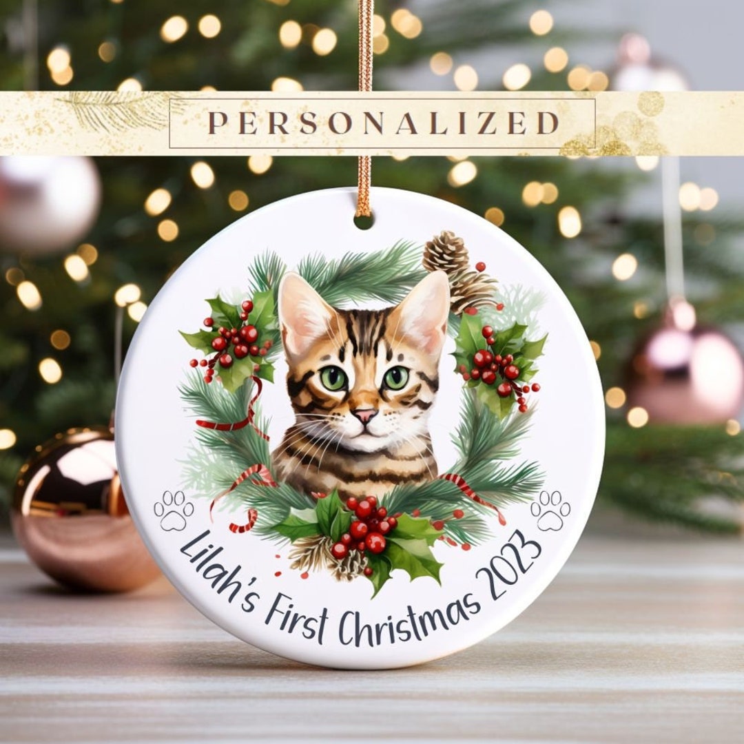 Customized Cat Christmas Ornament Cat Christmas Stocking My First ...