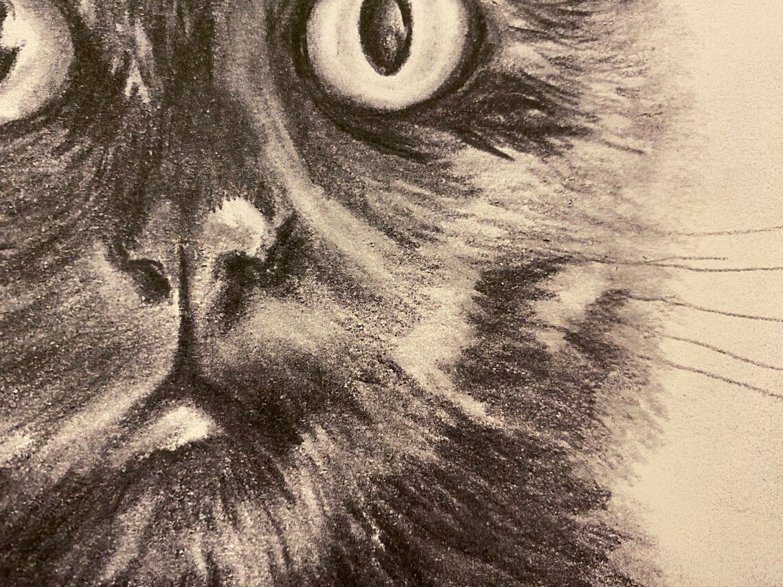 An Original Cat Drawing by Artist Rose Ritchie - Etsy