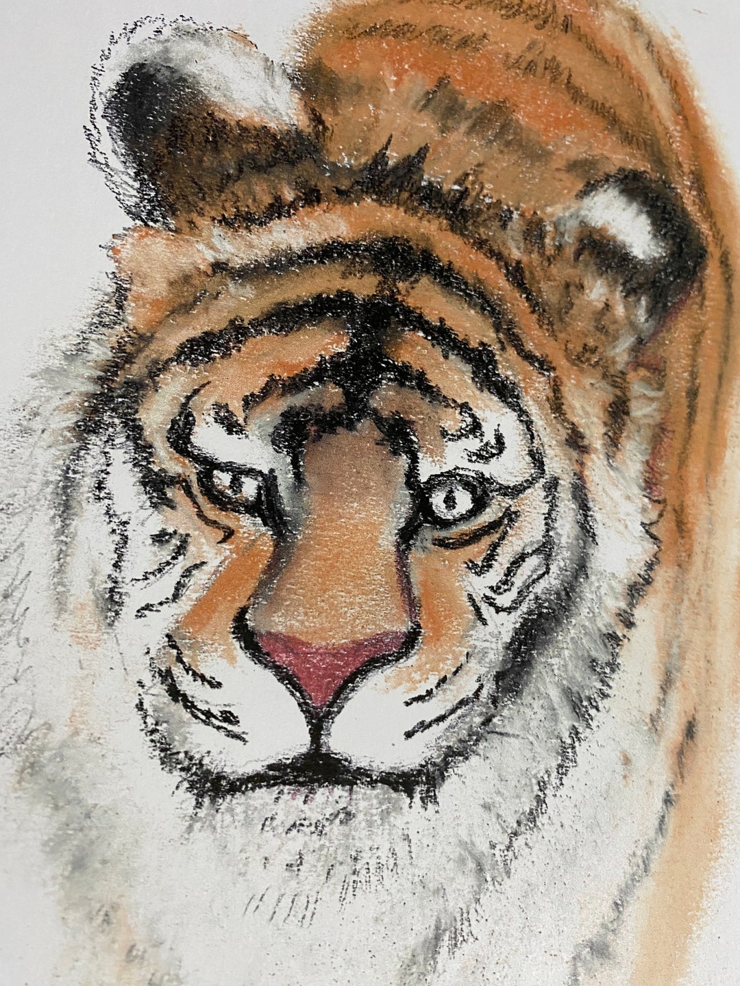 Tiger Pastel Drawing, Original Artwork by Artist Rose Ritchie - Etsy