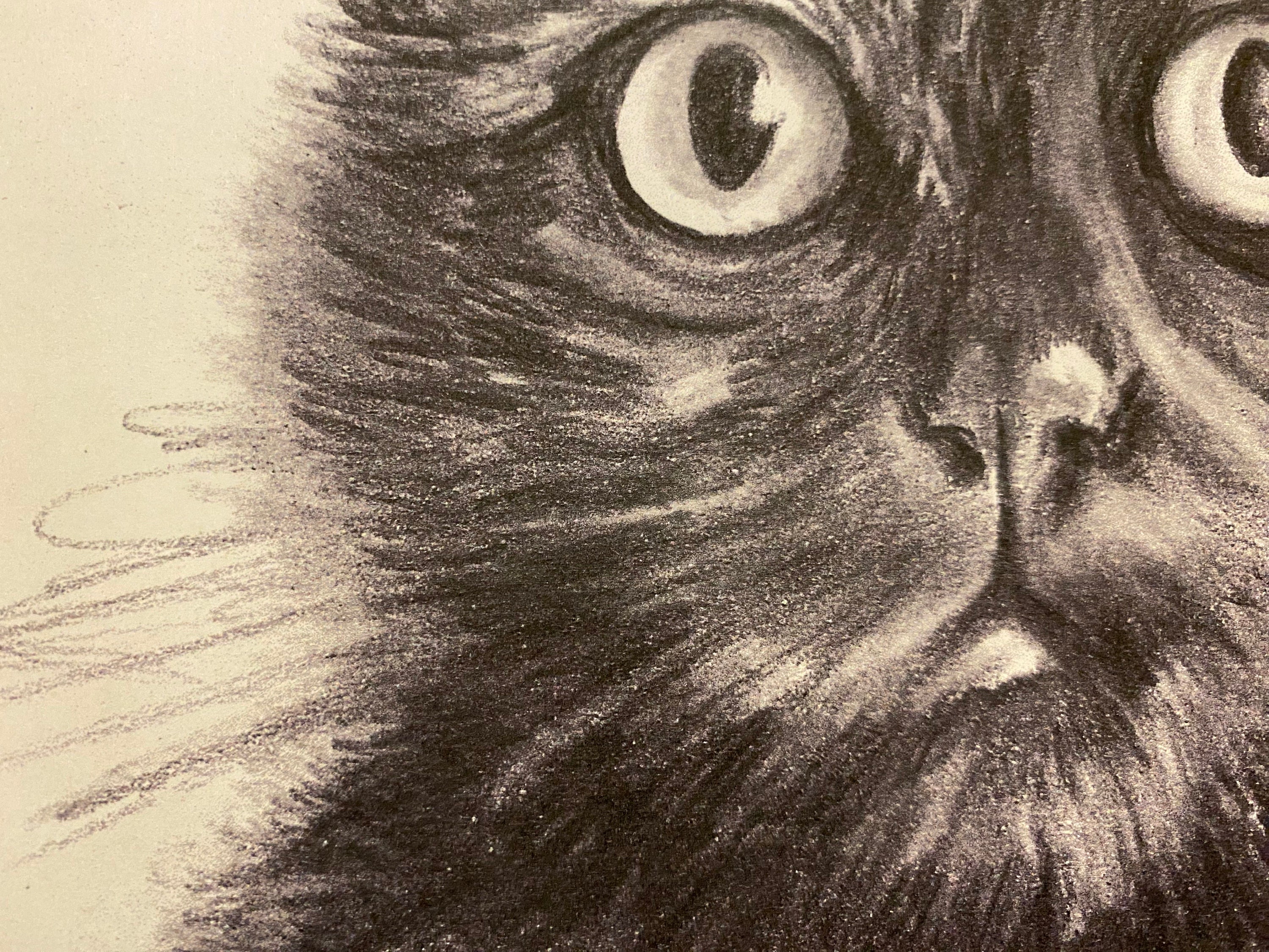 An Original Cat Drawing by Artist Rose Ritchie - Etsy