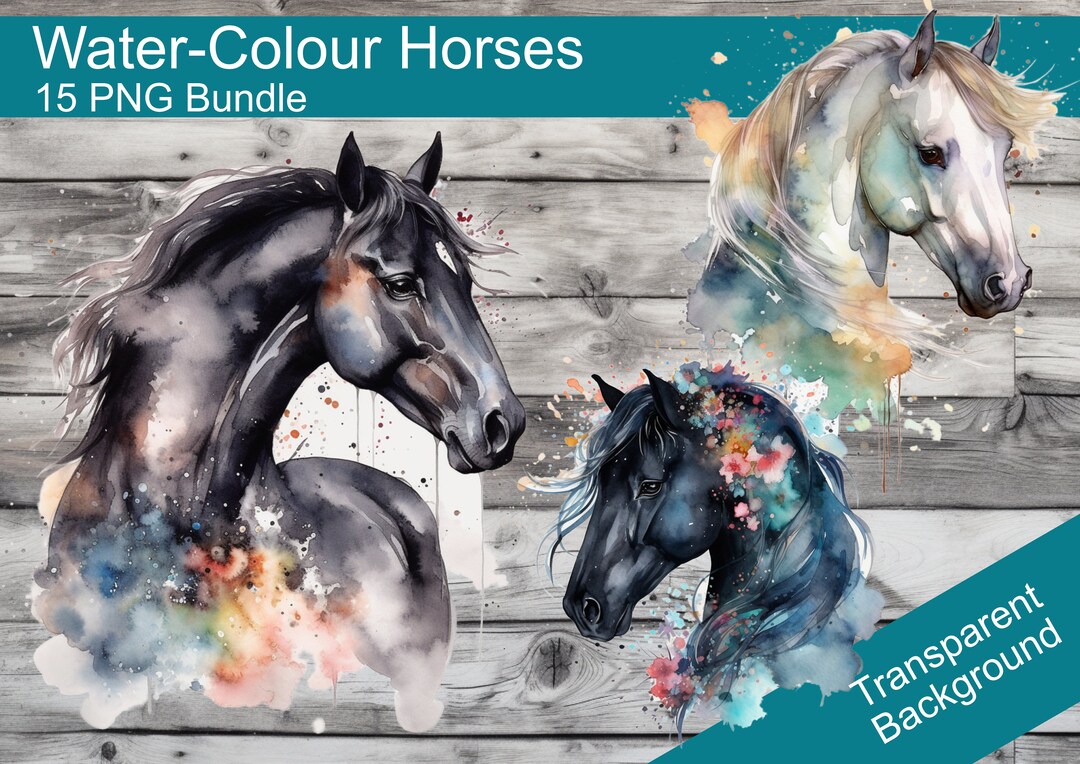 Water-colour Horses Bundle | 15 PNG Bundle | Clipart | Digital Download ...