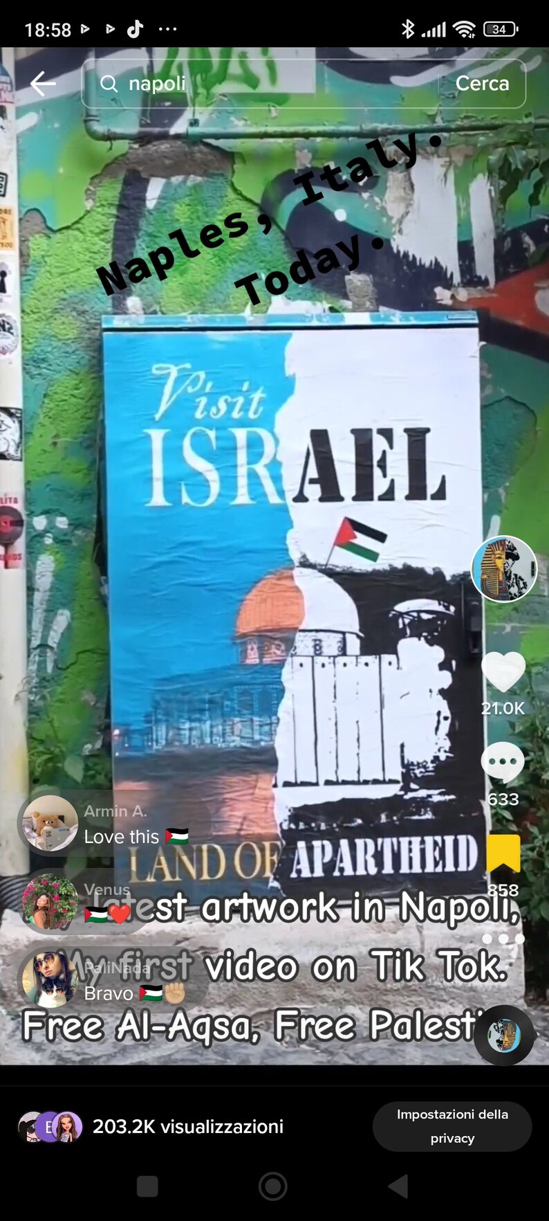 VISIT APARTHEID POSTER - Etsy