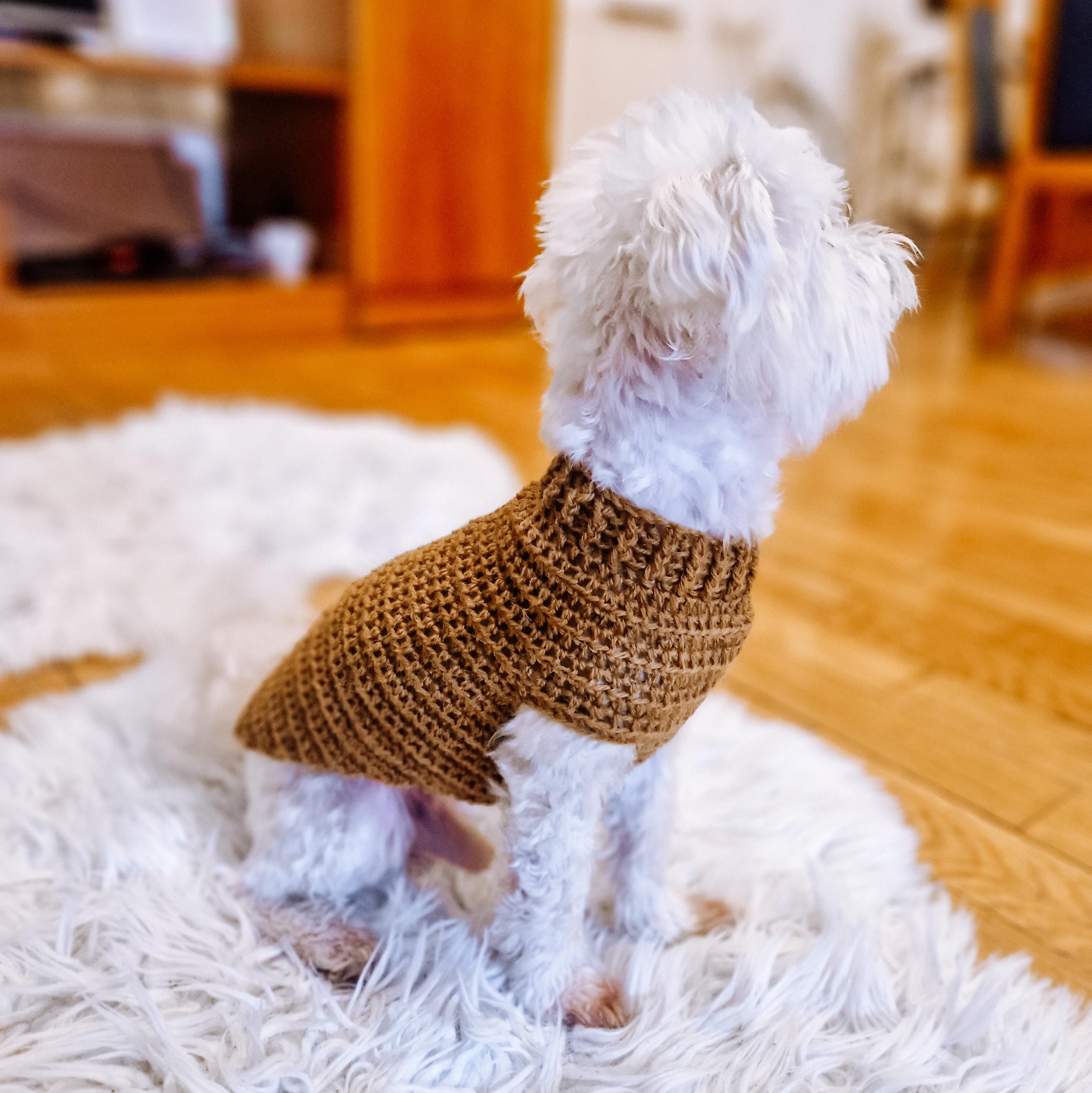 Beginner Crochet Dog Sweater Pattern: PDF Pattern+tutorial - Etsy