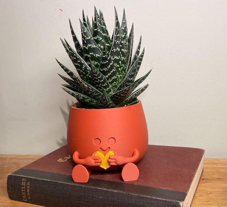 Novelty Plant, Coffee or Tea Lovers Gift - Cute Smiley Face Planter ...