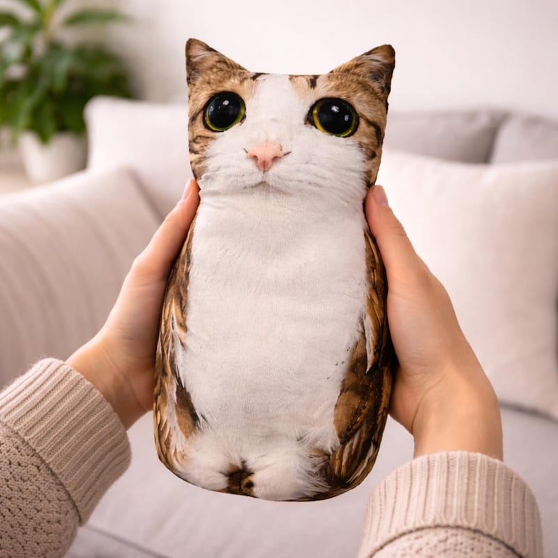 Meowl Plush - Etsy