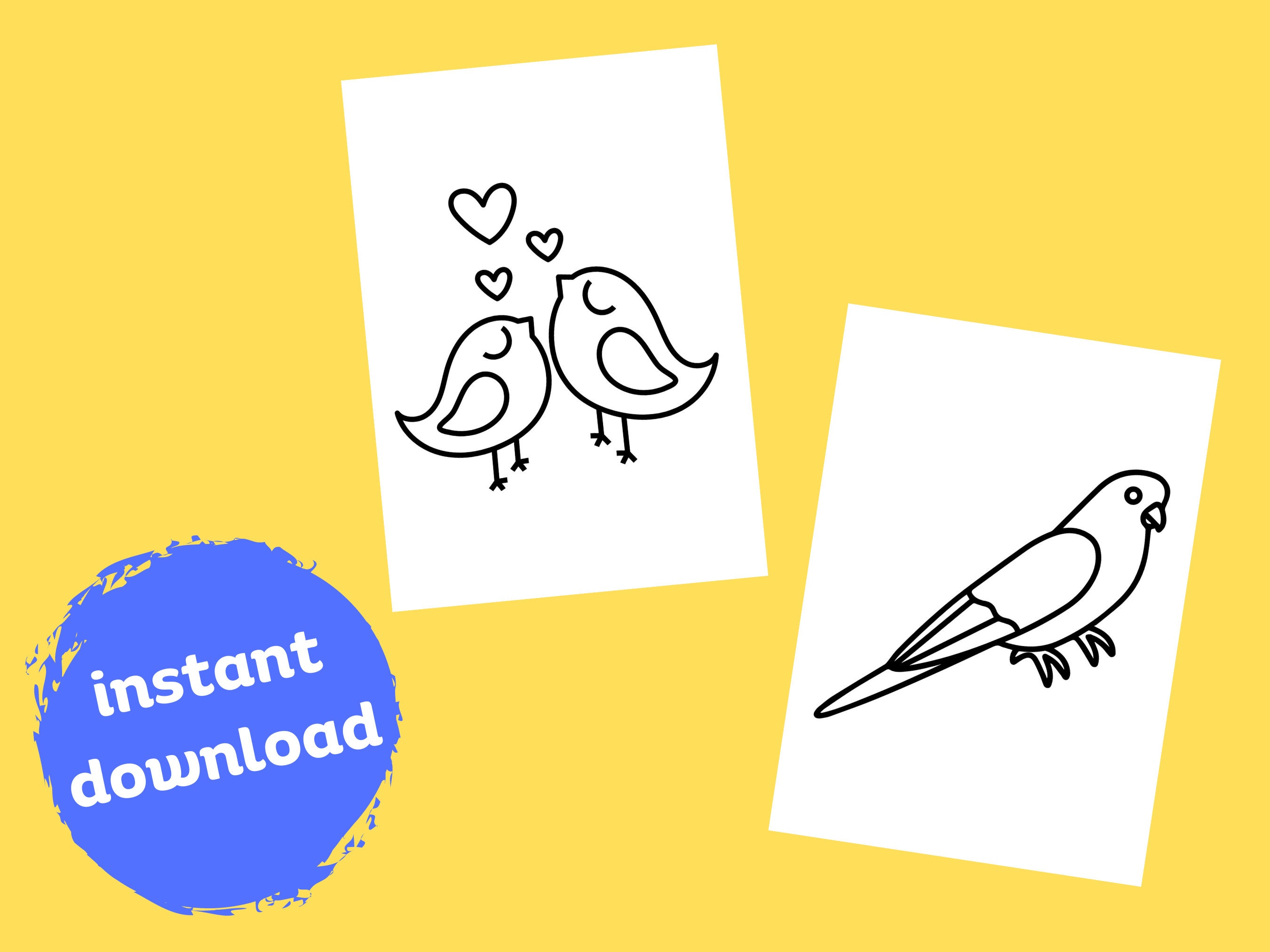 60 Page A4 Printable Bird Colouring Coloring Sheets for Kids Homeschool ...