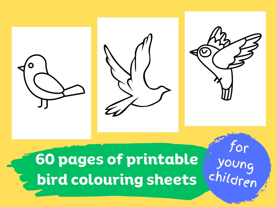 60 Page A4 Printable Bird Colouring Coloring Sheets for Kids Homeschool ...