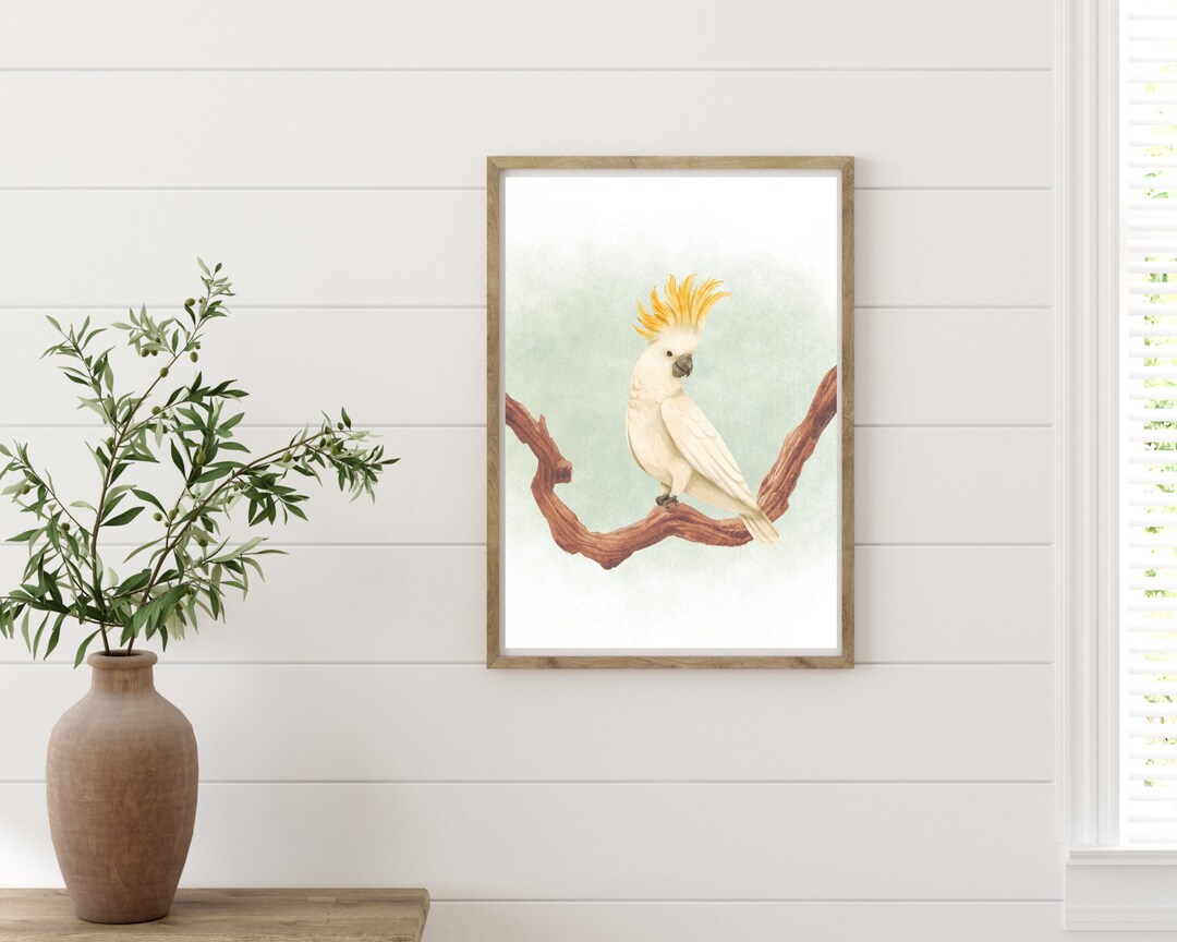 Wall Poster parrot A4 to Print and Frame Interior Decoration Wall ...