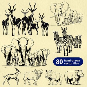 Wild Animal SVG, Safari Animals, Zoo Animal SVG, Gazelle Cricut ...
