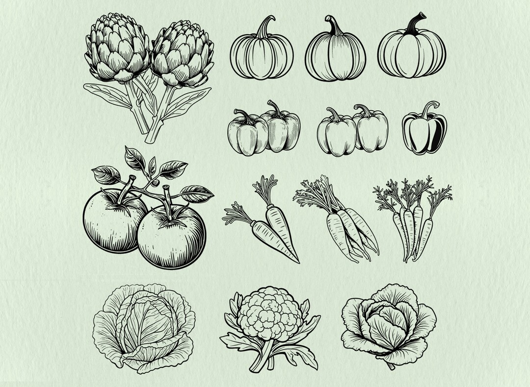 70 Vegetables SVG Clipart, Food SVG, Stencil Cut File, Silhouette ...