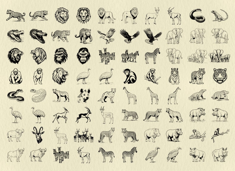Wild Animal SVG, Safari Animals, Zoo Animal SVG, Gazelle Cricut ...