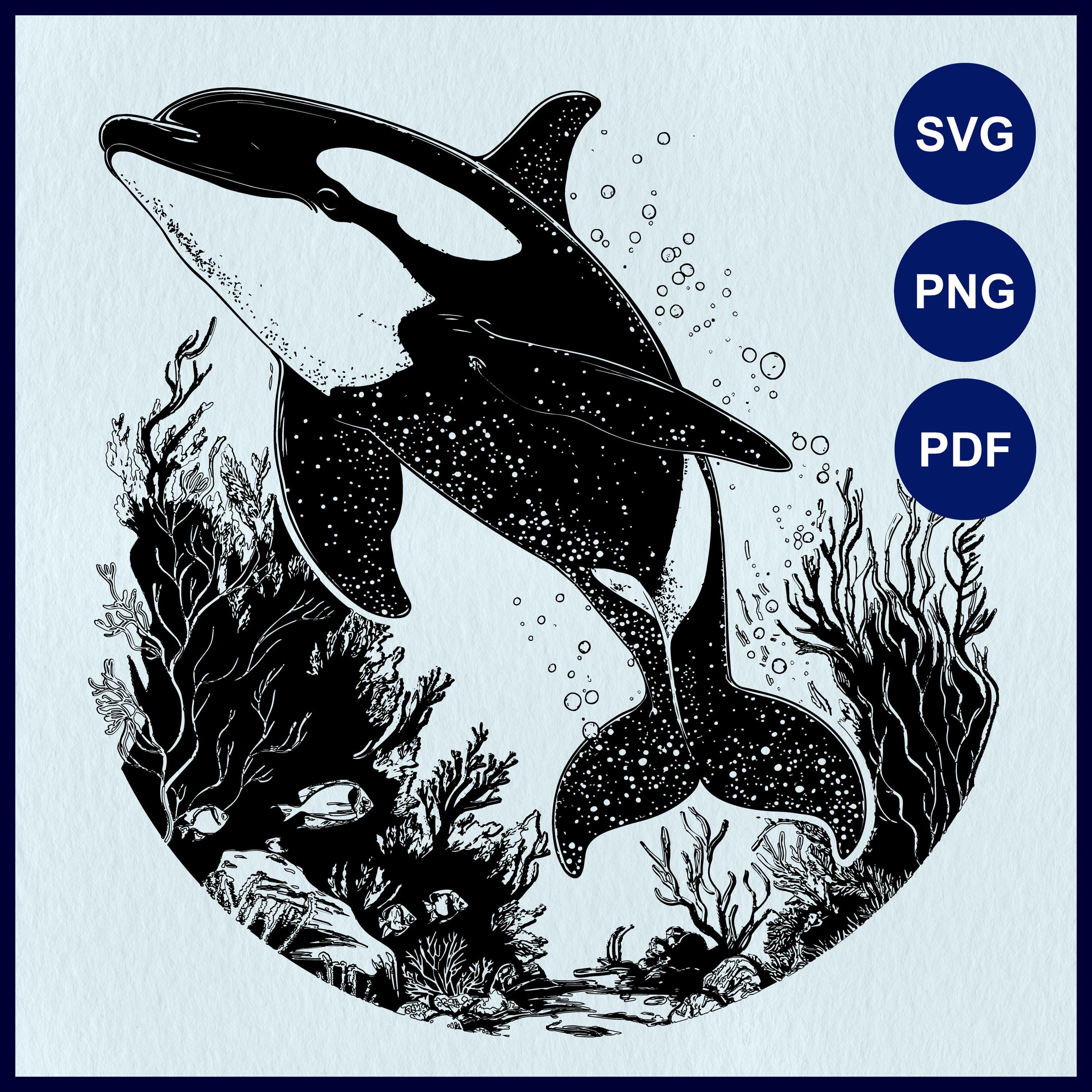 Orca SVG Silhouette, Killer Whale SVG, Marine Life PNG, Ocean Animals ...