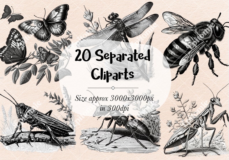 Vintage Insects Clipart, Vintage Insects Print, Vintage Bug, Vintage ...