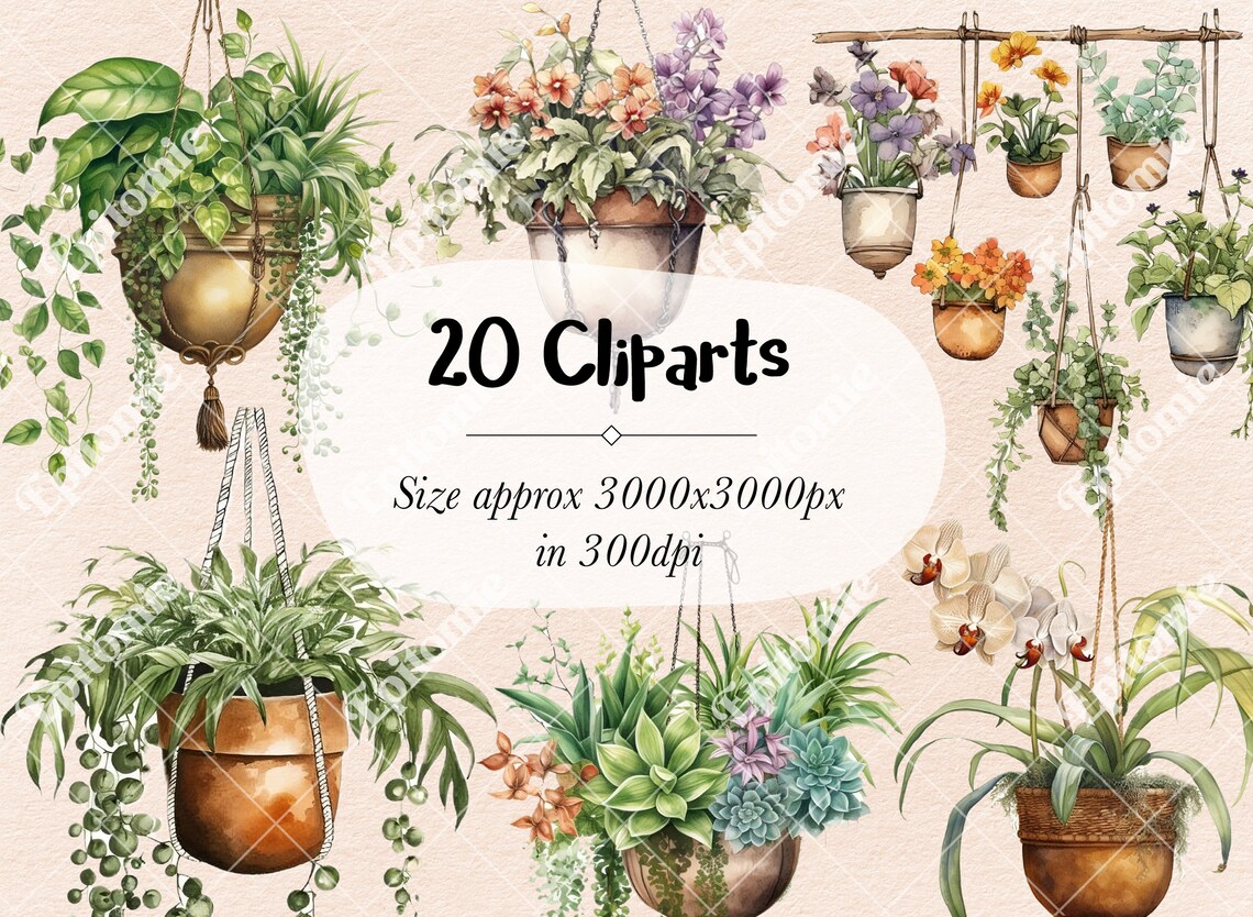 Hanging Plants Clipart, Potted Plant Clipart, Hanging Garden PNG ...