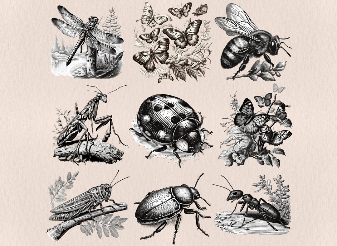Vintage Insects Clipart, Vintage Insects Print, Vintage Bug, Vintage ...