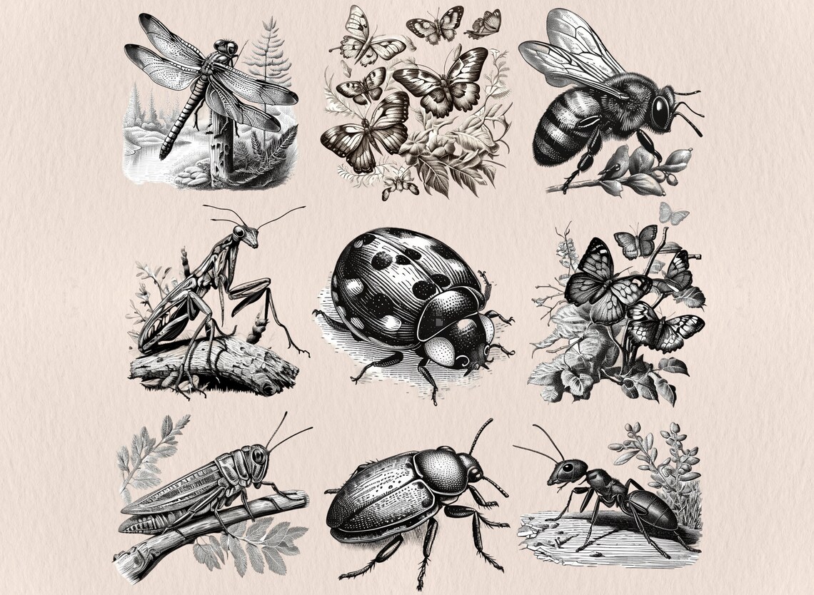 Vintage Insects Clipart, Vintage Insects Print, Vintage Bug, Vintage ...