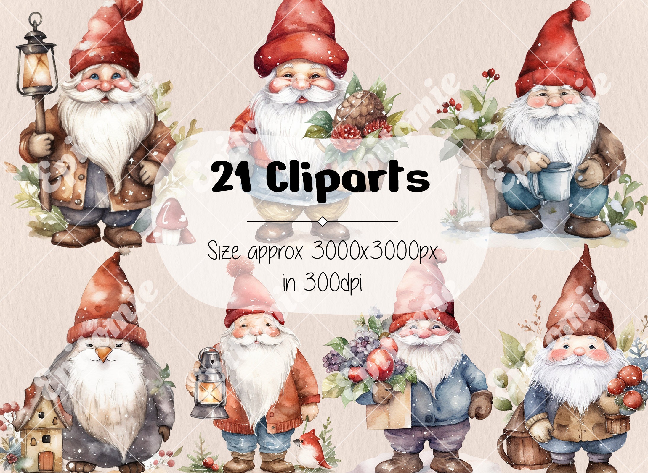 Winter Gnome Clipart, Cute Gnome PNG, Christmas Gnome Clipart, Winter ...
